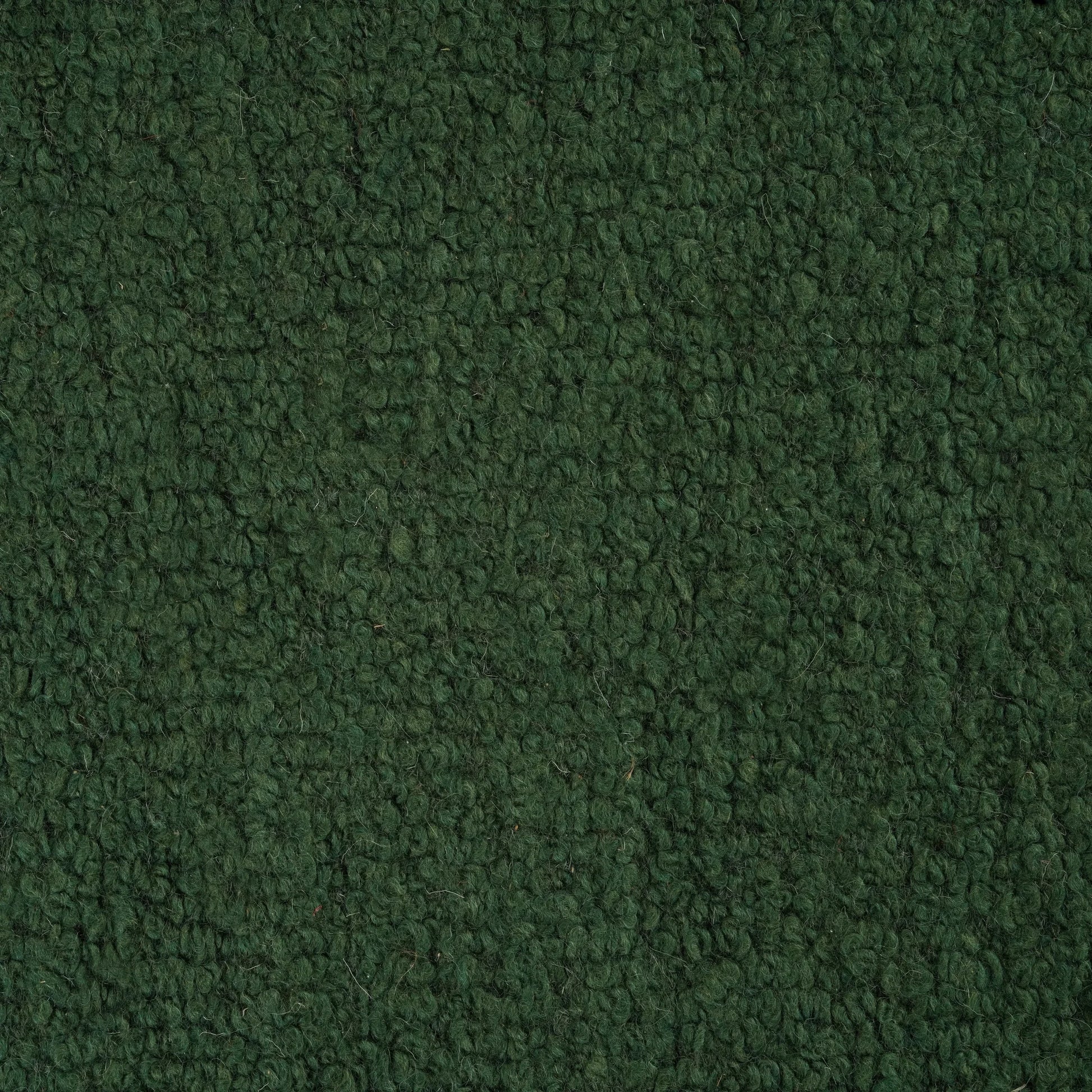 Buy Plush Rug - Emerald 300cm x 400cm by Elan & Earth online - RJ Living