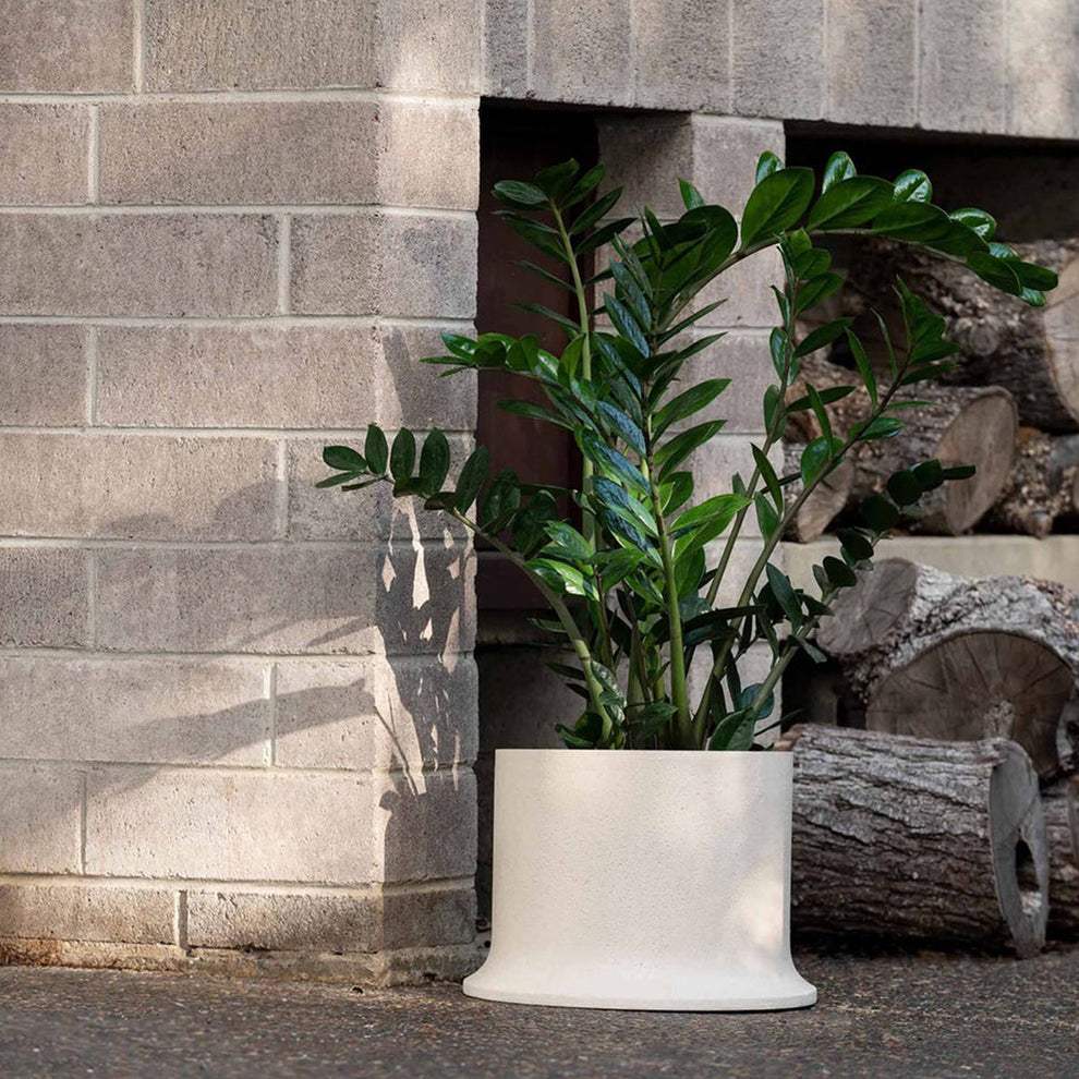 Buy Rise Planter Large - Natural by Citta online - RJ Living