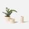 Buy Rise Planter Large - Natural by Citta online - RJ Living